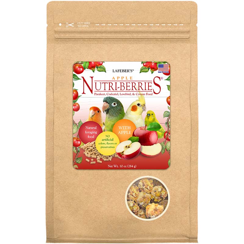 Apple Nutriberries - 10 oz - New! Available for a limited time ...