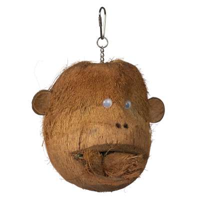 Coco Monkey – Aviary Bird Shop